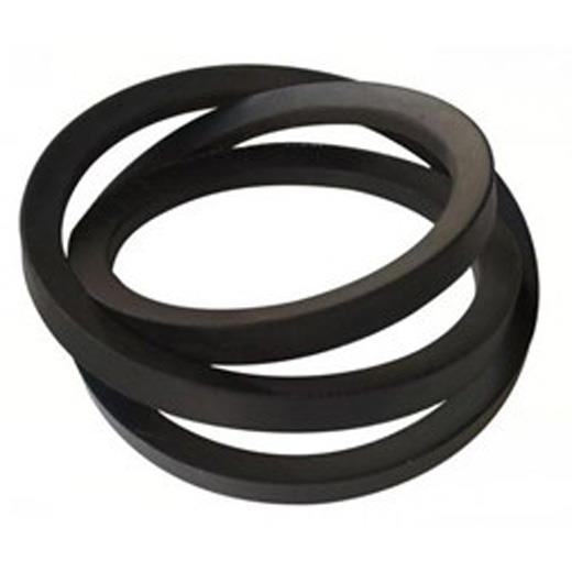 BELT / REIM - ARIENS - Hage - park - snø - RCpro