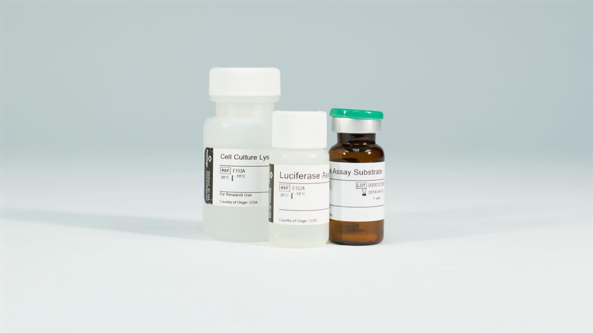 Luciferase Assay System with Reporter Lysis Buffer - Reporter assay - nmas