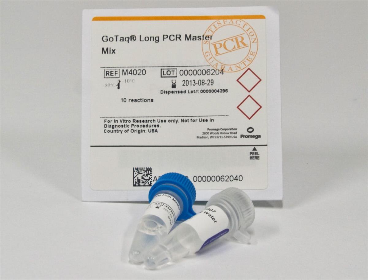 Gotaq Qpcr Master Mix – Qpcr Mix 作り方 – AJDRZJ